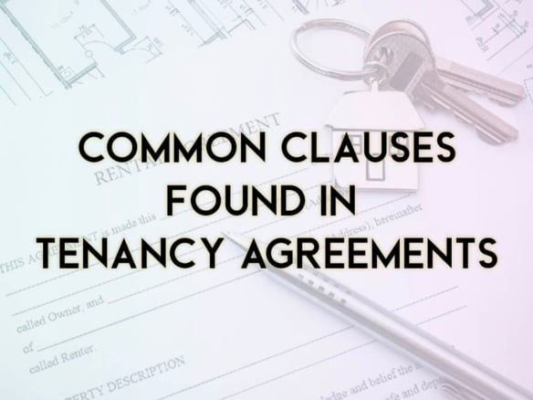 What's a tenant profile, and what should you include in it? - Noam ...