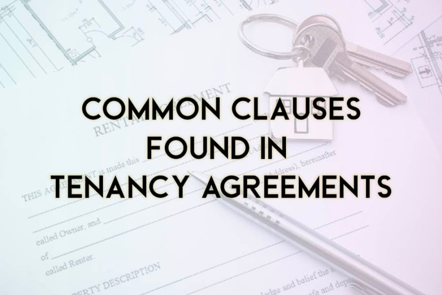 Tenancy Agreement Singapore - Noam Nathan